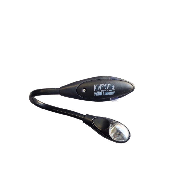 Programming, Promotion & Décor – Collaborative Summer Library Program Store