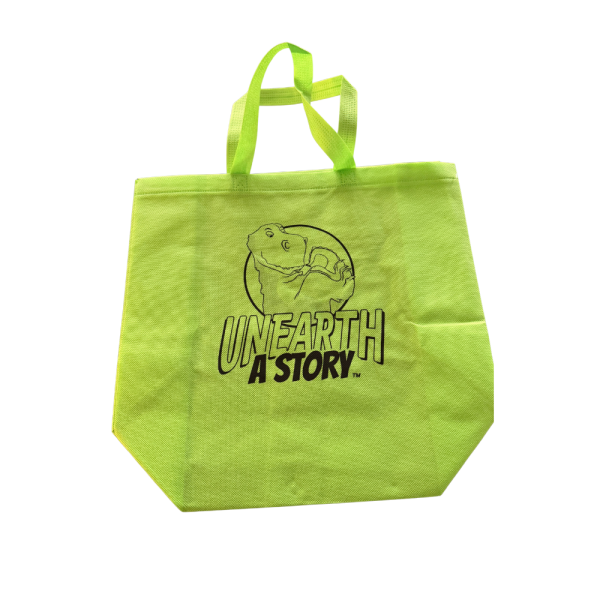 Unearth a Story – Collaborative Summer Library Program Store