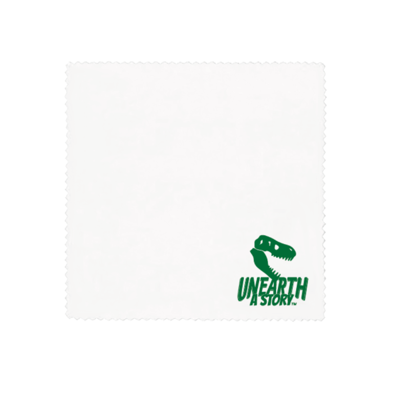 Lens Cloth – Collaborative Summer Library Program Store